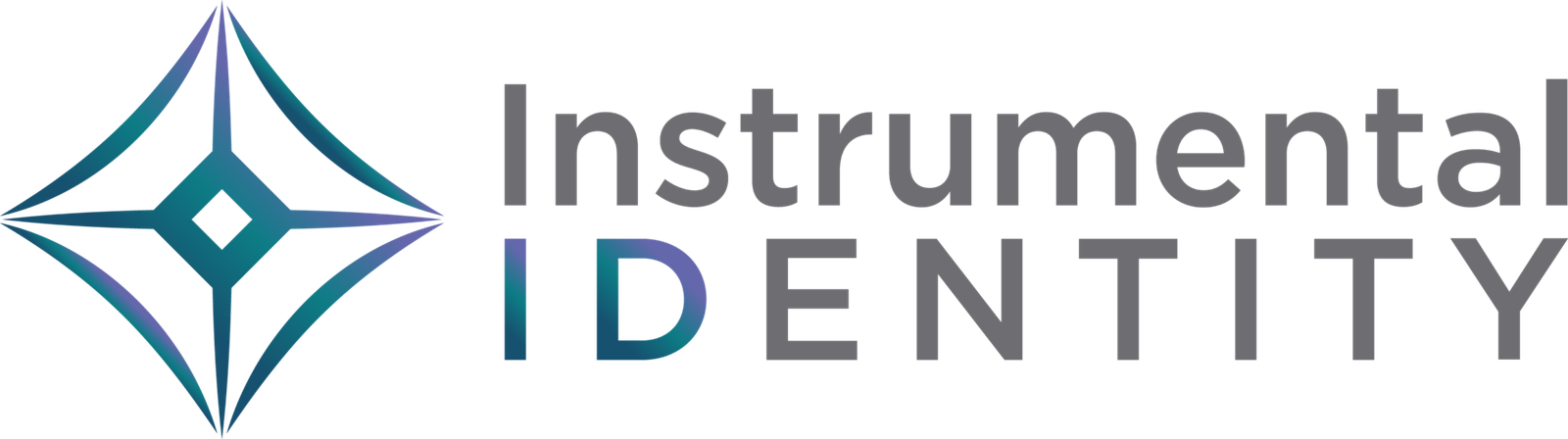 IdentityIQ Archives - Instrumental Identity